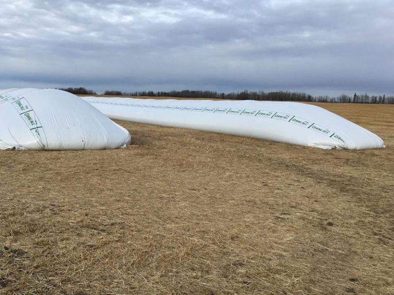 Grain Bag | Canadian Hay and Silage